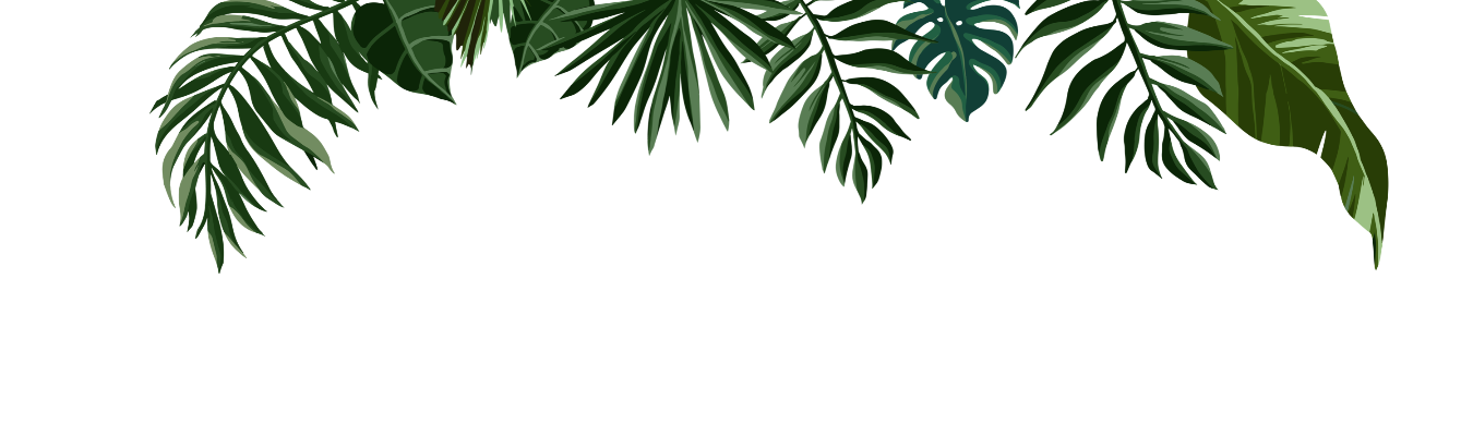 Breakfast & Lunch – Badgers Bar